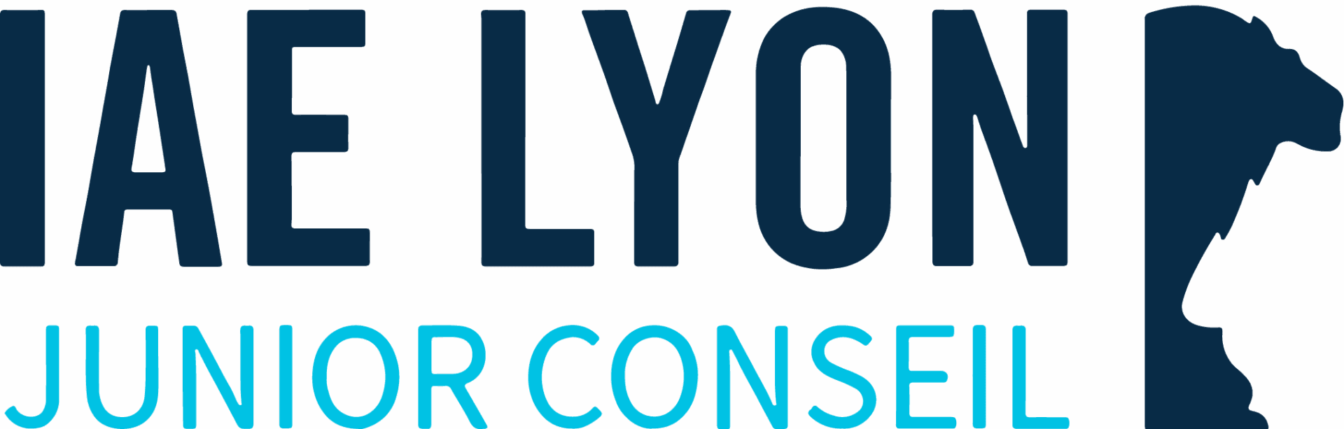 Méthode ISEOR : révéler vos coûts cachés en entreprise avec IAE Lyon ...